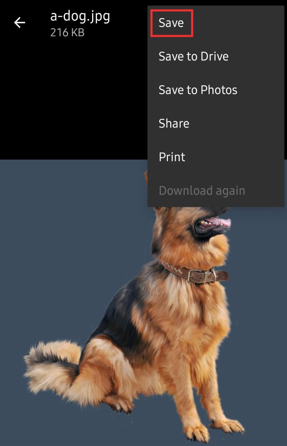 How to Download Gmail Images on Your Device