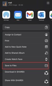 How to Download Gmail Images on Your Device
