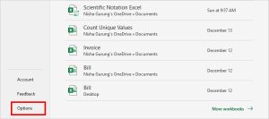 Auto Date in Excel—Here’s What You Need to Know