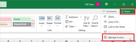 How to Share Excel Files with Multiple Users